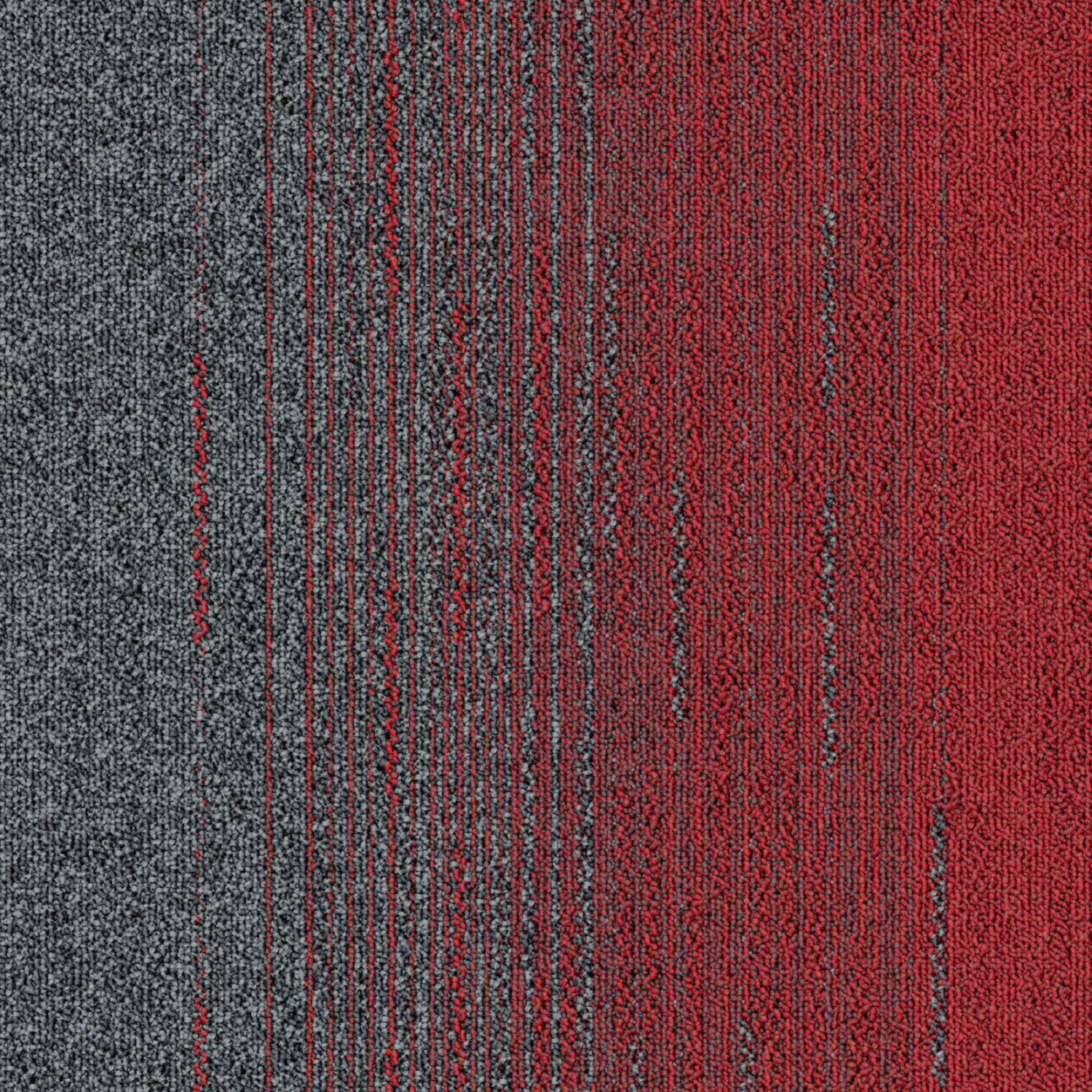 “Mt Fuji” SGT801-1N571