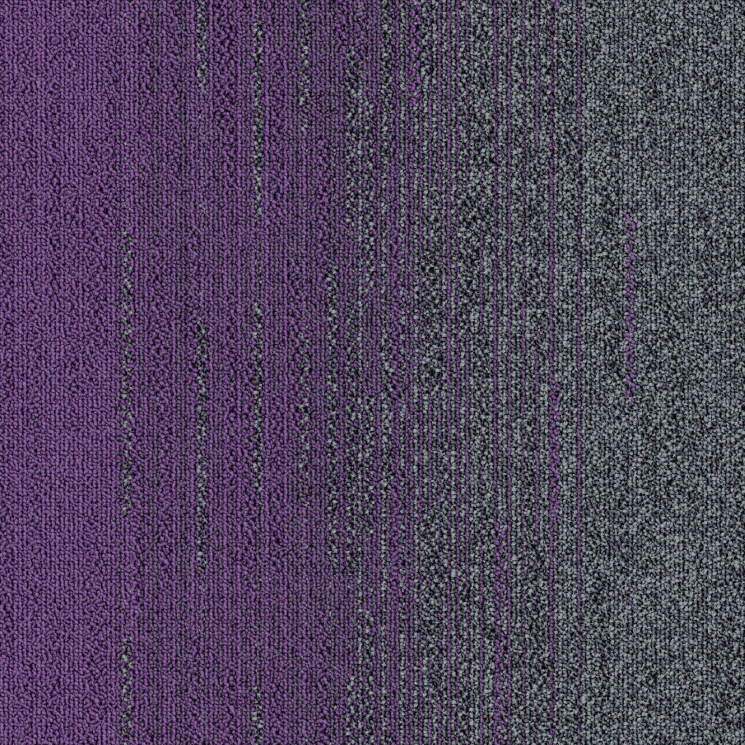 “Langkawi” SGT801-1N591