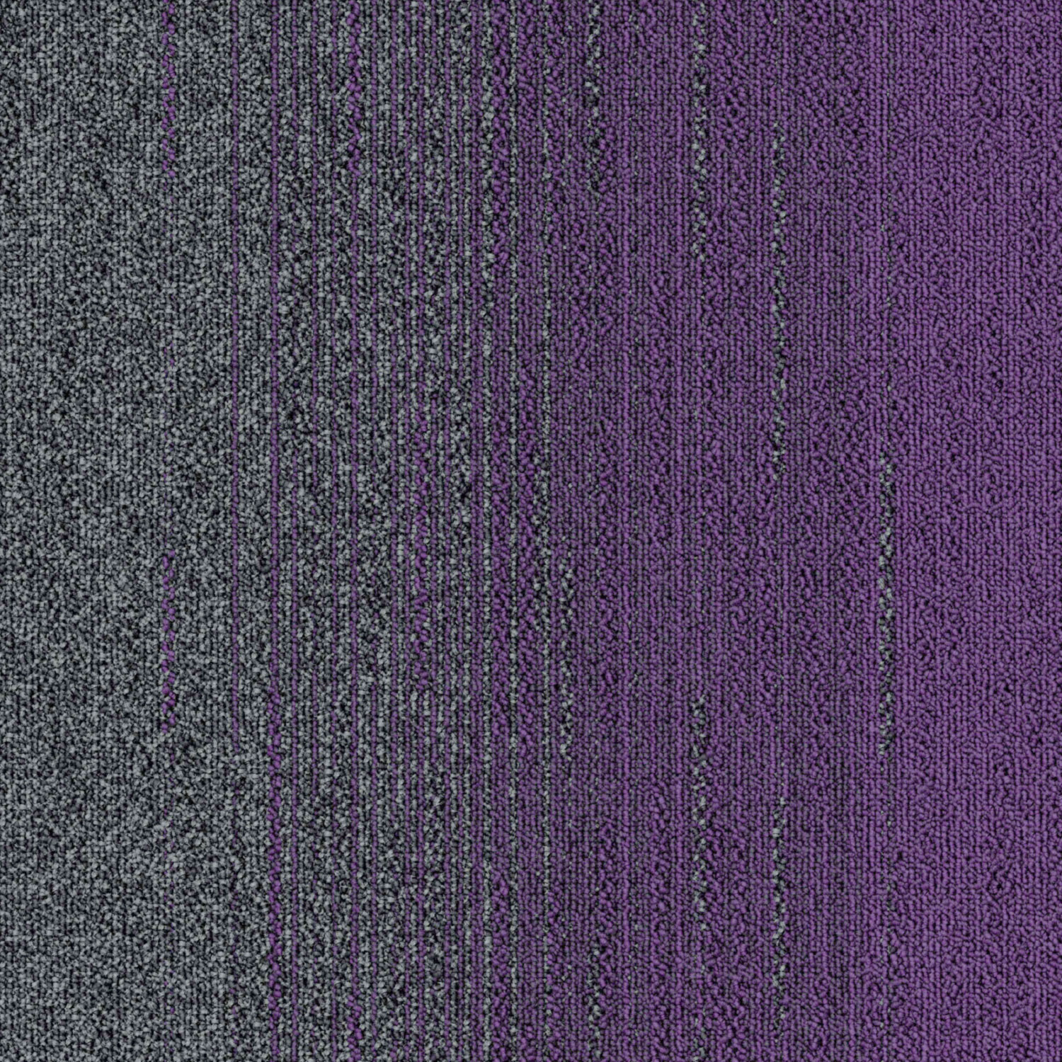 “Langkawi” SGT801-1N591